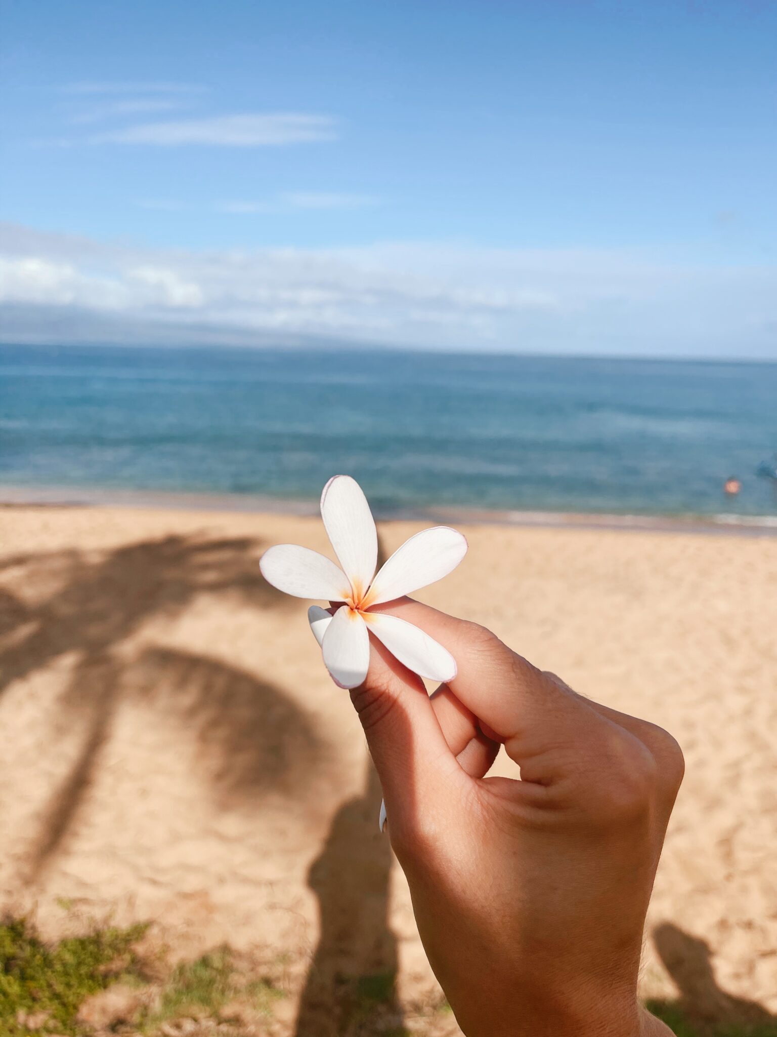 The 10 Absolute Best Things to Do in Lahaina | Hawaiian Islands Travel